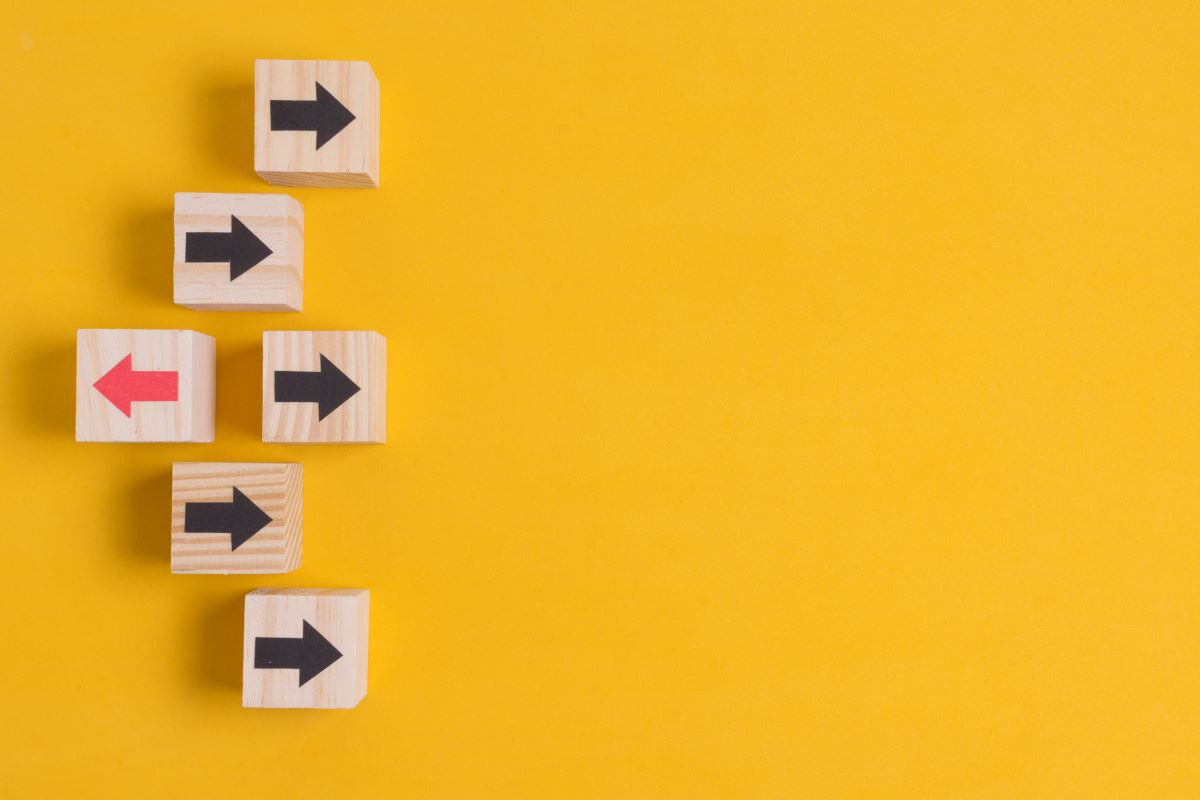 Transitioning from ELT: Utilise Your Teaching Background – ELT Chalkboard